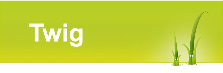 ¿Qué es Twig y Para Qué se Utiliza en el Desarrollo Web?